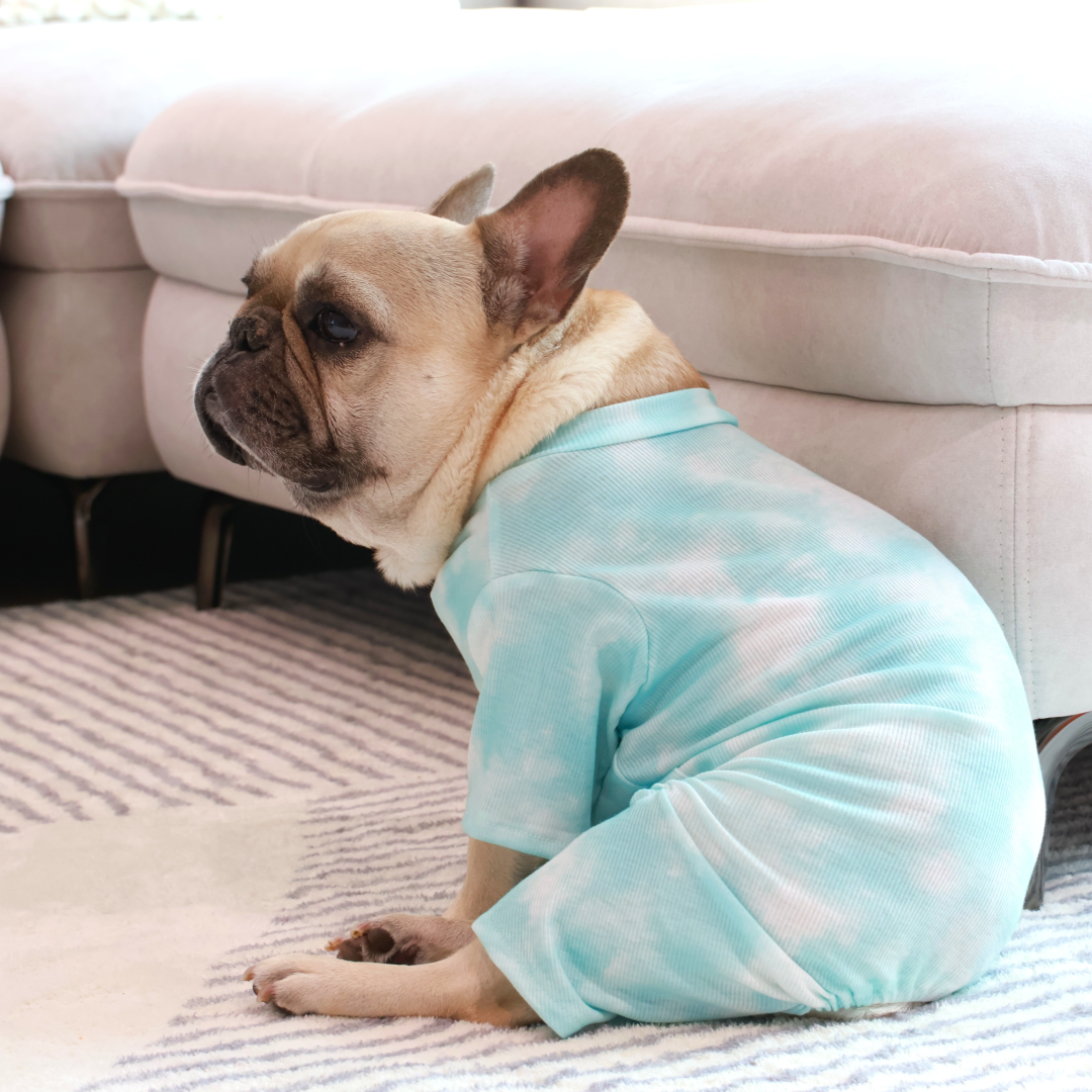 Organic Light Tie Dye Pajamas - TURQUOISE – Griffin's Haru