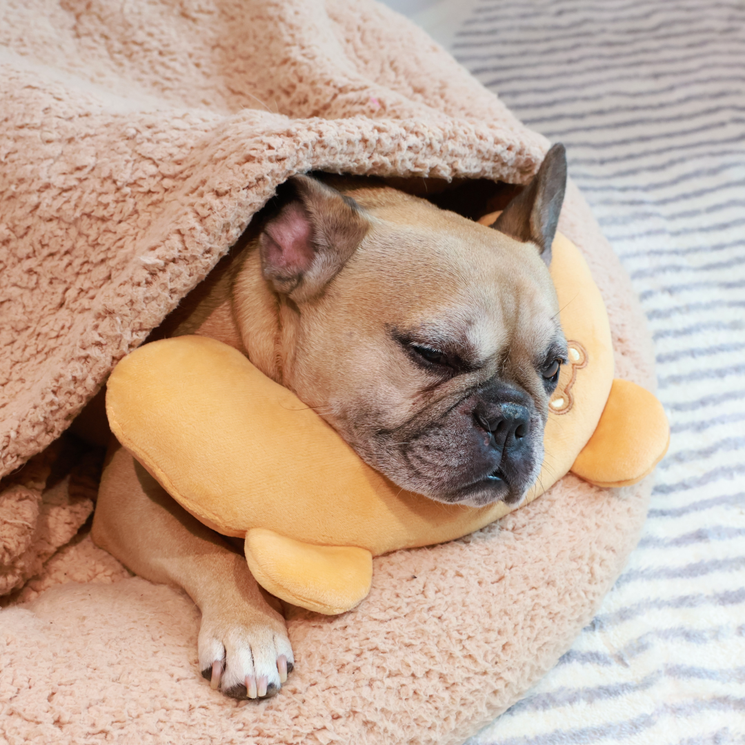 Soothing Pet Pillow - Animal – Griffin's Haru