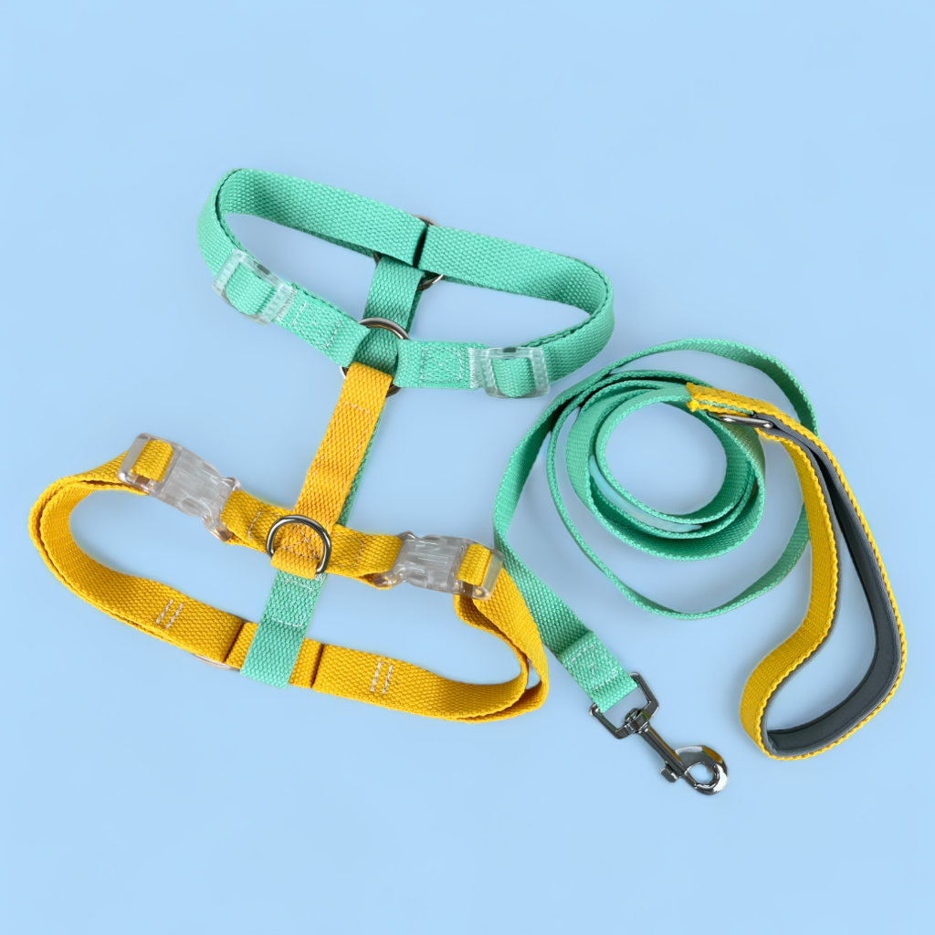 Double Strap Easy Peasy Harness -Mint & Yellow – Griffin's Haru