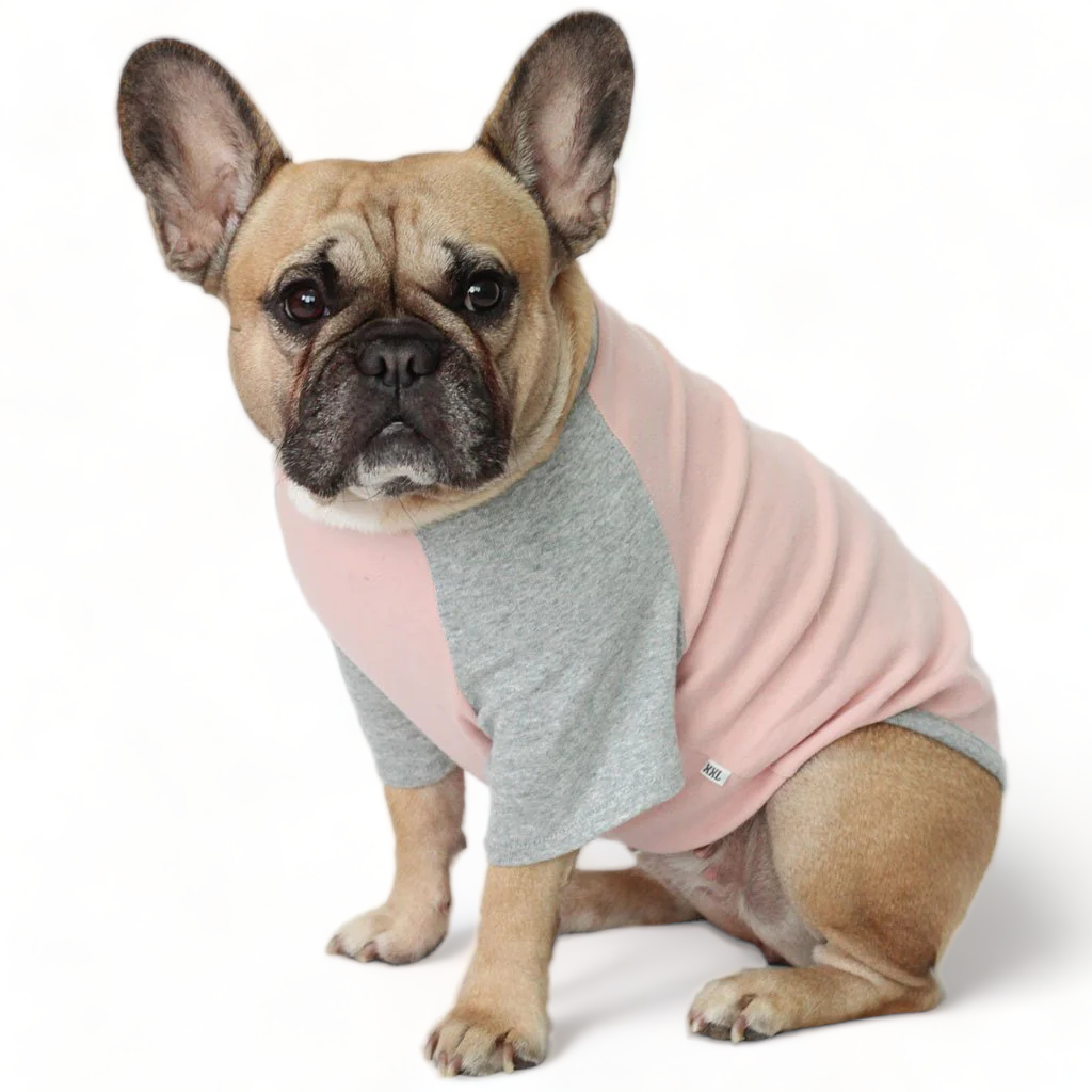 The Pastel Ice Cream Pink – Griffin's Haru