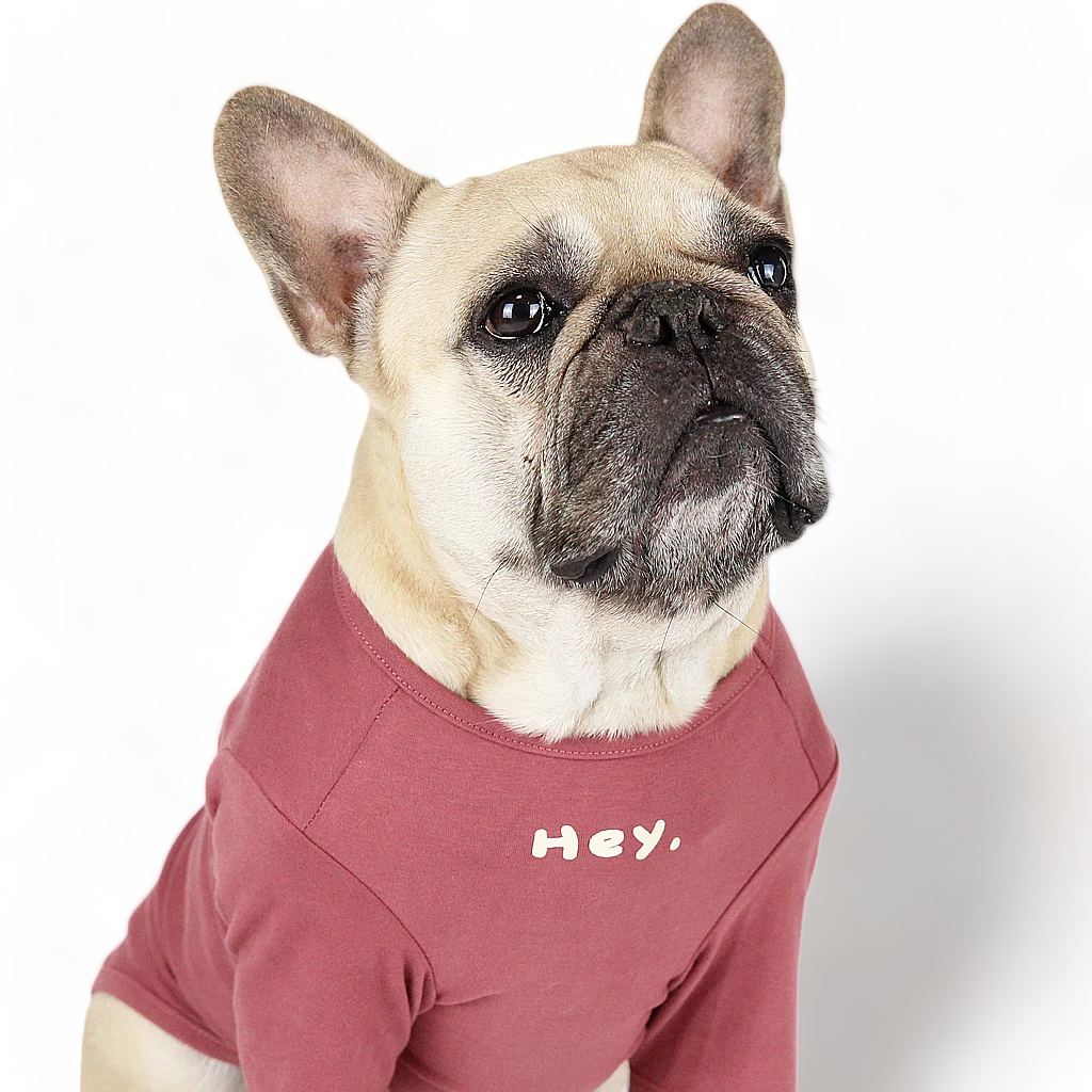 Super Soft Hey Shirt – Griffin's Haru